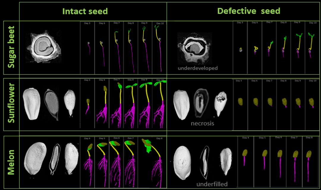 phenoLytics :: optimizing seeds!